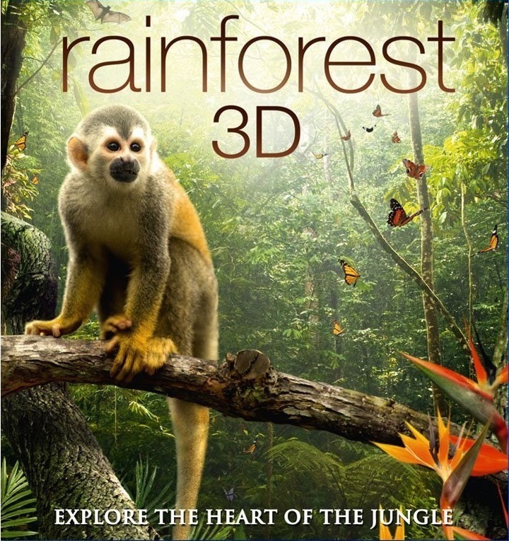 Rainforest 3D (film, 2012) | Kritikák, videók, szereplők | MAFAB.hu