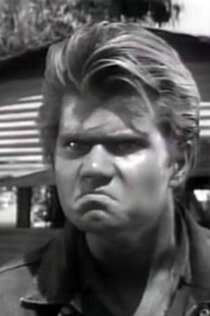 Arch Hall Jr. | Filmek, képek, díjak | Személyiség adatlap | Mafab.hu