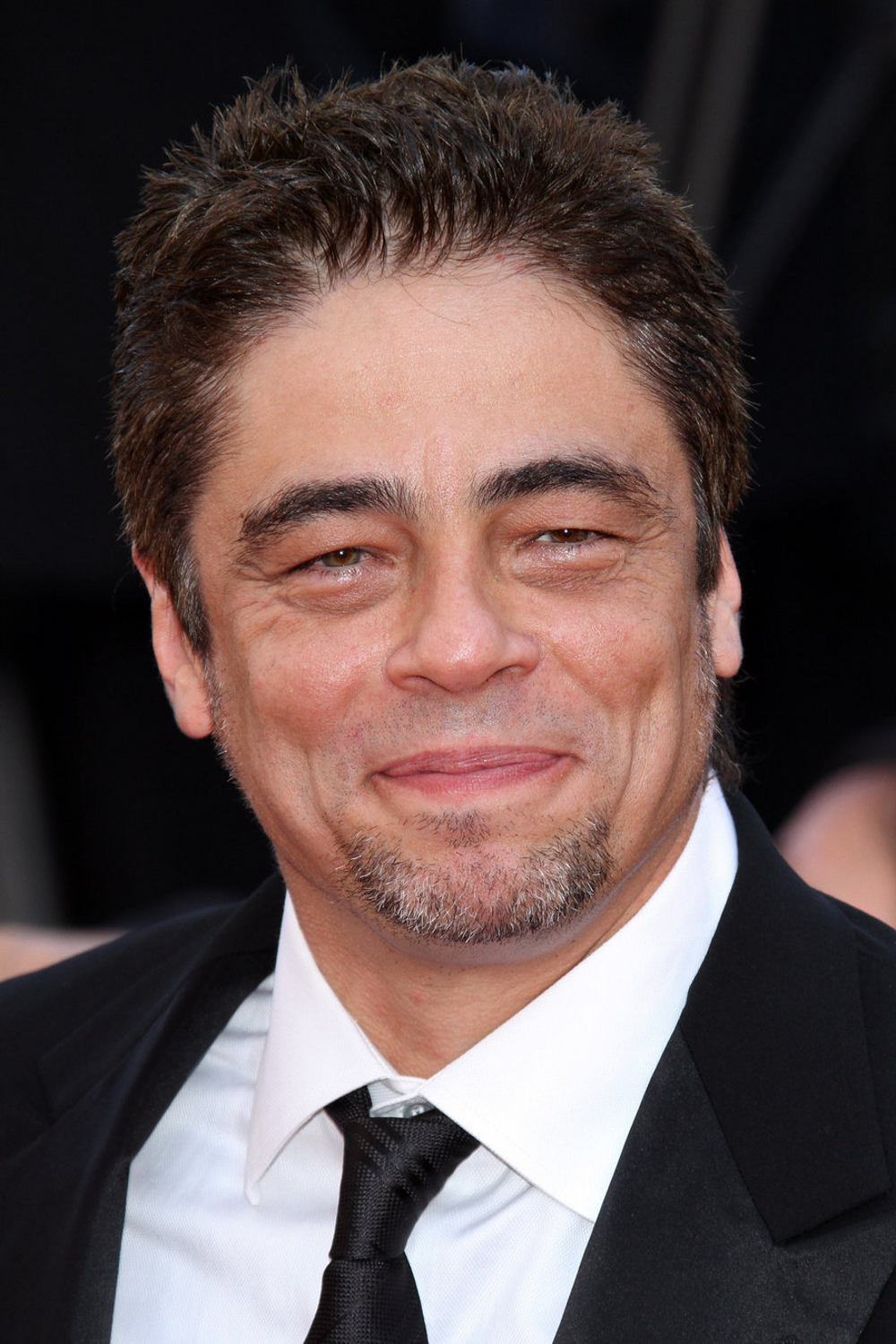 Benicio del Toro | Filmek, képek, díjak | Személyiség adatlap | Mafab.hu