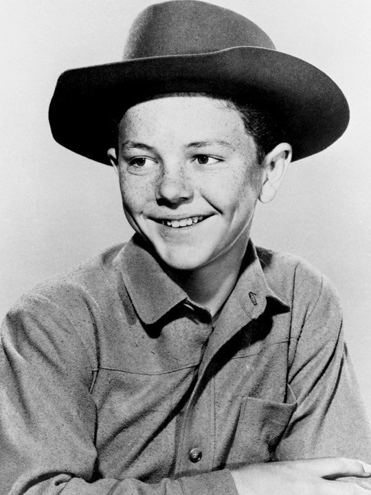 Richard Eyer | Filmek, képek, díjak | Személyiség adatlap | Mafab.hu